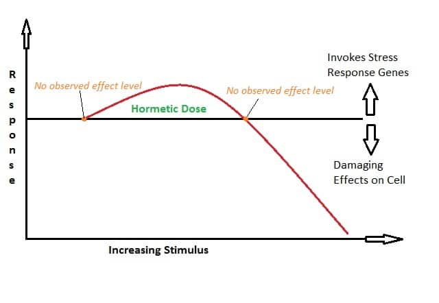 Hormesis: Why You Might Not be Reaching Your Goals